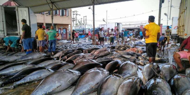 Negombo: Fishing Village Highlights Private Tour by Tuk Tuk - Key Points