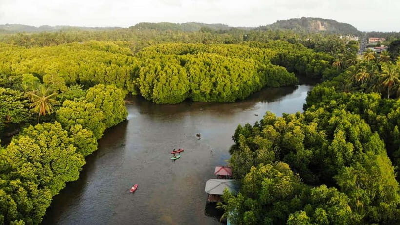 Negombo: Guided Kayaking Tour in the Lagoon - An In-Depth Look at the Kayaking Experience