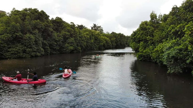 Negombo: Guided Kayaking Tour in the Lagoon - Meeting Point & Practical Information