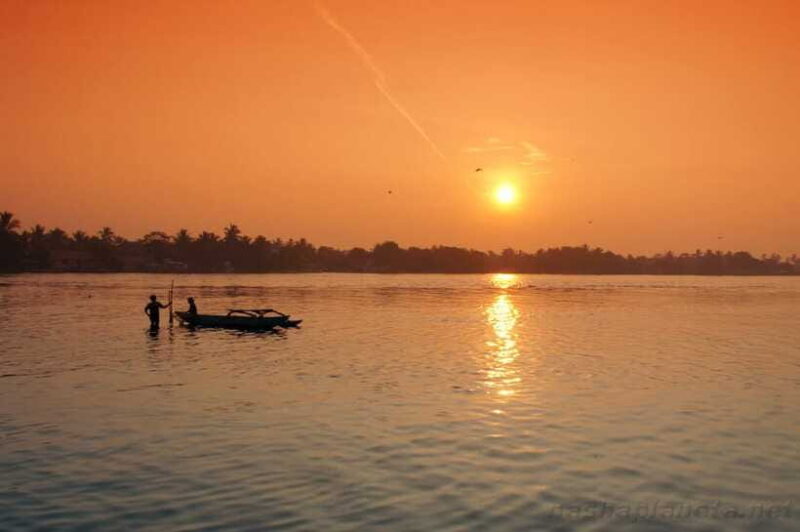 Negombo Lagoon (Mangrove ) Boat Excursion - Who Will Love This Tour?