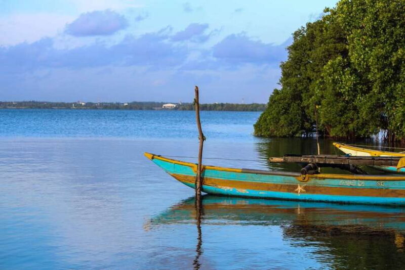 Negombo Lagoon (Mangrove ) Boat Excursion - FAQ