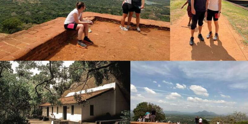 Negombo: Sigiriya Rock and Minneriya National Park Day Tour - What the Tour Offers in Terms of Value