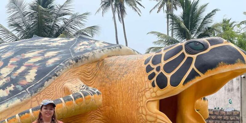 Negombo: Turtle hatchery, River safari, moon stone & Galle - Analyzing Value and Practicality