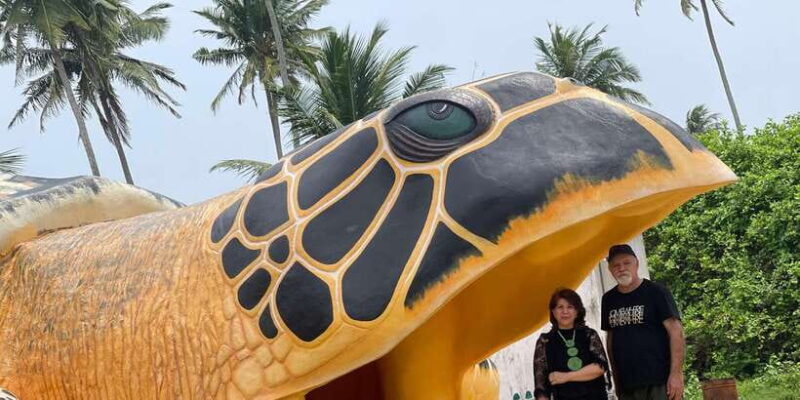 Negombo: Turtle hatchery, River safari, moon stone & Galle - Who Will Enjoy This Tour Most?