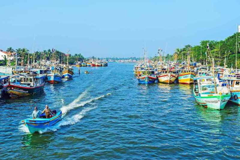 Negombo:Dutch Canal, Lagoon, Muthurajawela Private Boat Tour - Who Will Love This Tour?