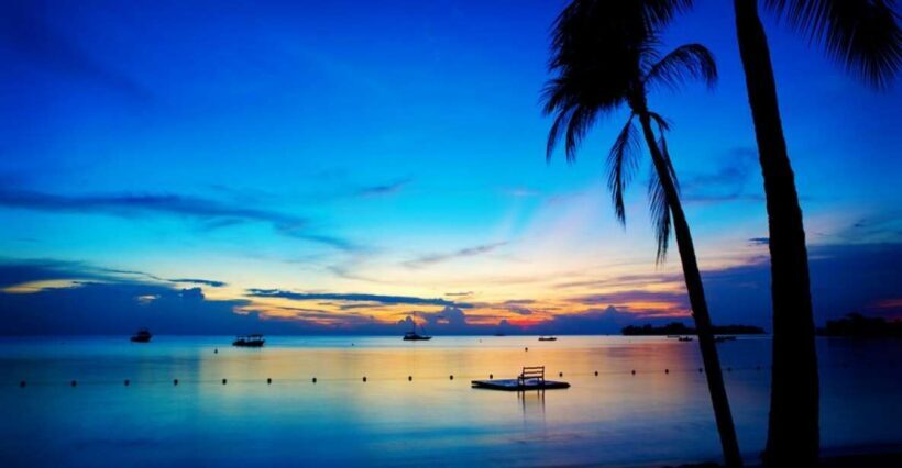 Negril 7-Hour Tour from Montego Bay - The Itinerary in Detail: What You Can Expect