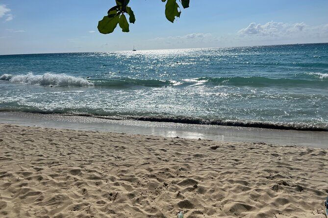 Negril 7 Mile Beach and Ricks Cafe Tour - Authentic Experiences & Reviews