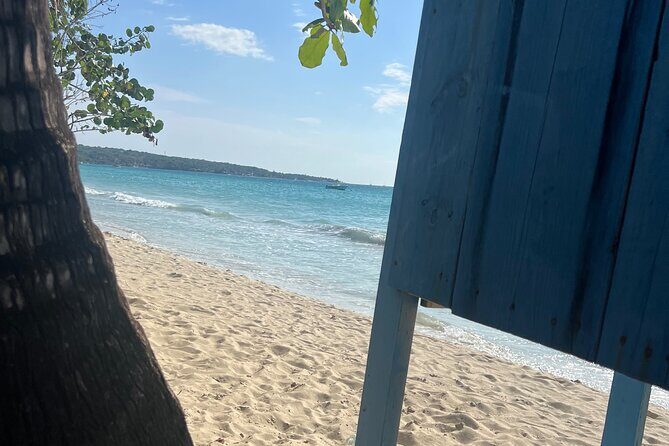 Negril 7 Mile Beach and Ricks Cafe Tour - Who Will Love This Tour?