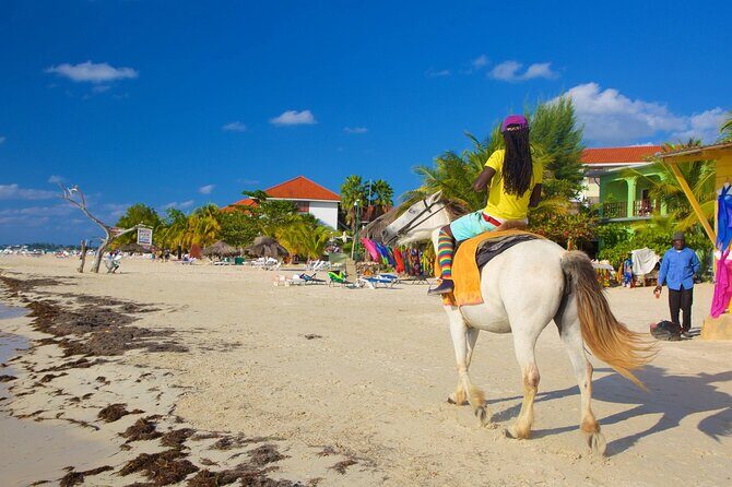 Negril 7 Mile Beach and Rick's Cafe Tour From Montego Bay Jamaica - Who Will Love This Tour?