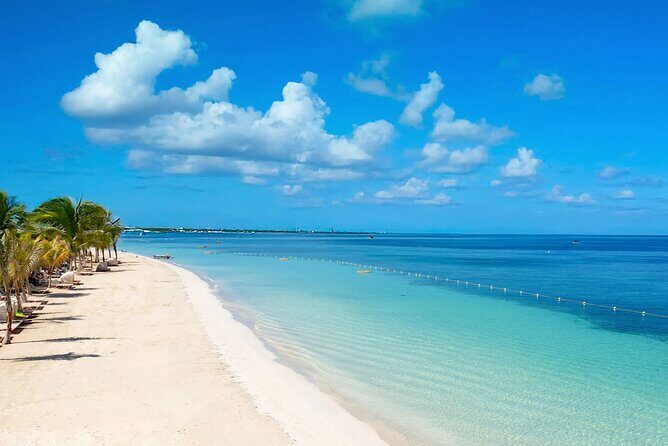 Negril Beach Rick's Cafe Bamboo Rafting Margaritaville Shopping - Transportation and Logistics