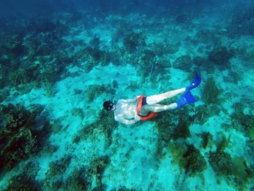 Negril Catamaran Morning Sail: Snorkeling & Pirates Cave - The Value of This Experience