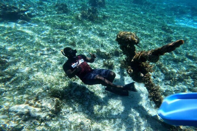 Negril Glass Bottom Boat Tour Snorkeling and Booby Cay - A Complete Guide to the Negril Glass Bottom Boat Tour Snorkeling and Booby Cay Experience