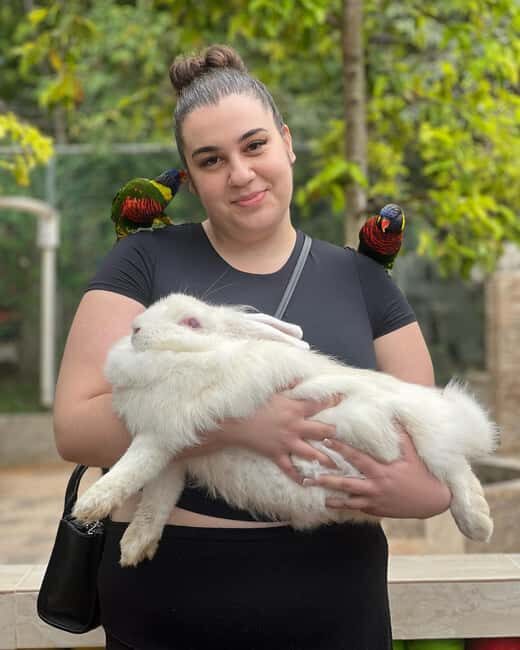 Negril Marijuana Farm and Mineral Spring Tour - FAQ