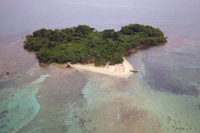 Negril Ricks cruise PLUS Booby Cay Lobster & Cave Snorkeling - Practical Tips for Travelers