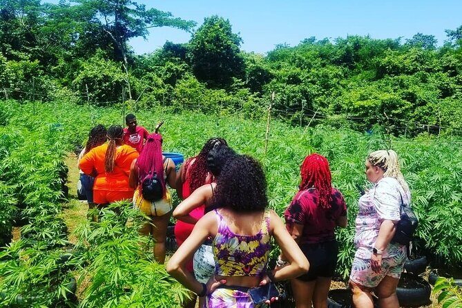 Negril Seven Mile beach and Ricks Cafe from Montego Bay - FAQ