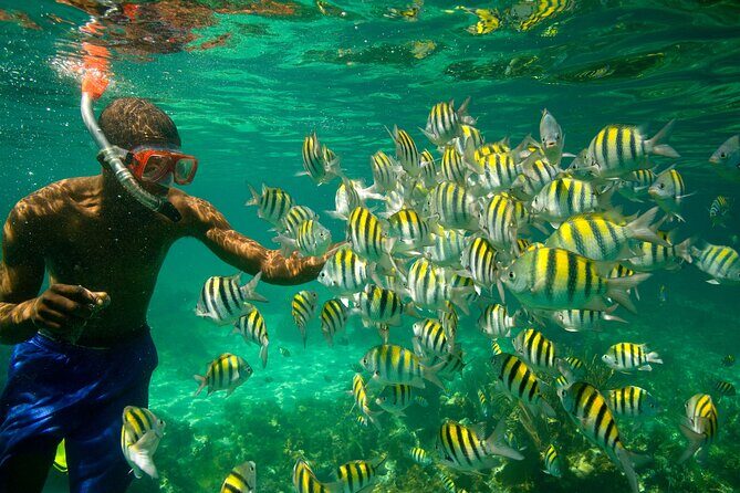 Negril Seven Miles Beach, Snorkeling, Boat Ride, Ricks Cafe Combo - Final Thoughts: Who Is This Tour Perfect For?