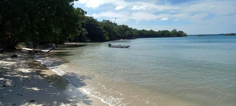 Negril Seven Miles Beaches| Lighthouse & Rik's Cafe Sun Set - Practical Details & Logistics