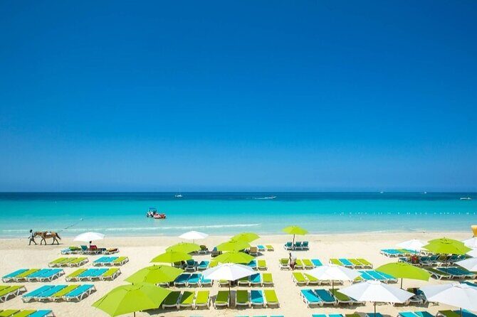 Negril Tour with stops at Seven Mile Beach and Ricks Cafe - The Value Proposition