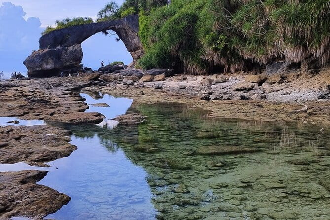 Neil Bridge Marine Trail - Night Tours: A Whole New Perspective