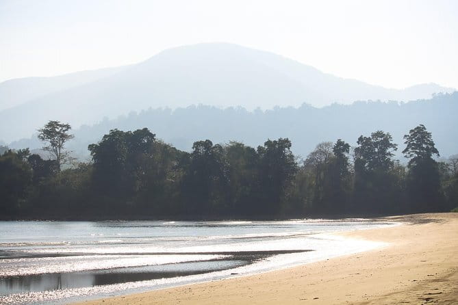 Neil Bridge Marine Trail - Why This Tour Is Worth It