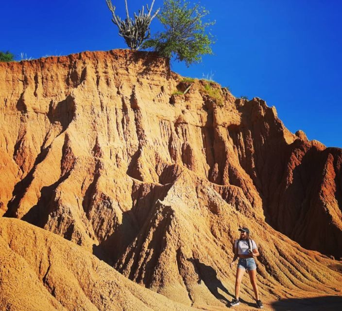 Neiva: Guided Day Trip to the Tatacoa Desert with Lunch - Key Points