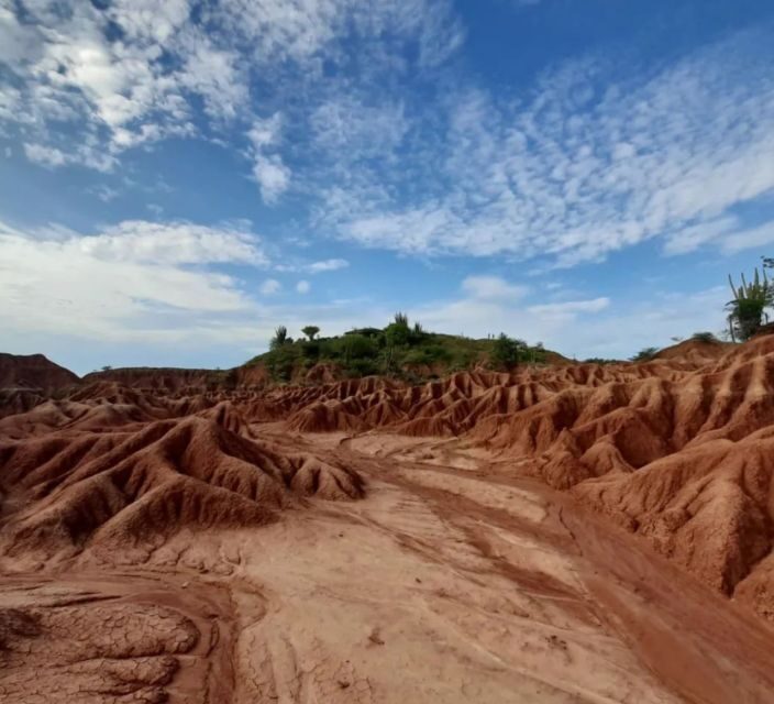 Neiva: Guided Day Trip to the Tatacoa Desert with Lunch - Into the Desert: Walking Through the Different Landscapes