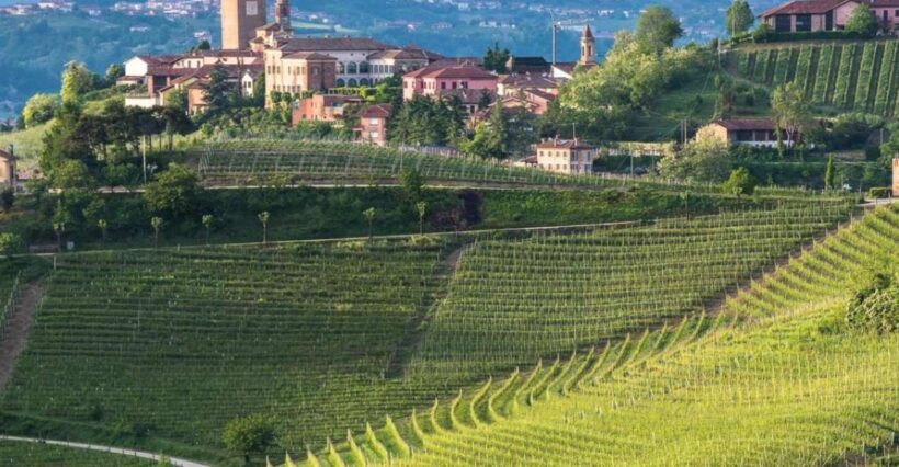 Neive: Cycling Tour from Neive to Barbaresco - Key Points