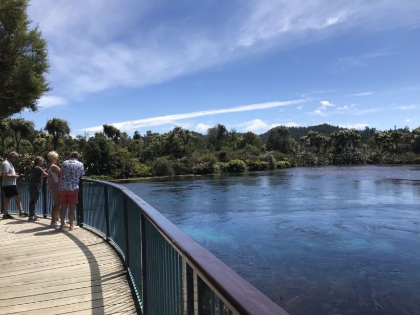 Nelson: Abel Tasman Cruise-Fly Day Tour - A Detailed Breakdown of the Experience