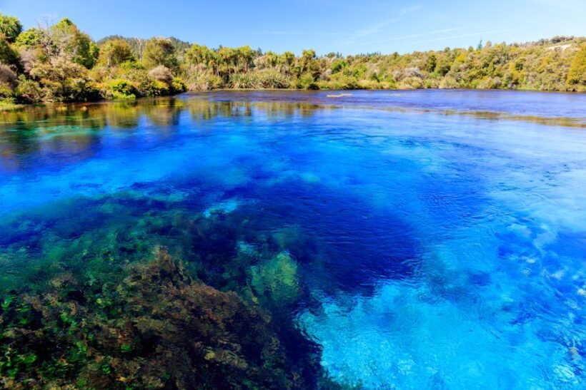 Nelson: Abel Tasman Cruise-Fly Day Tour - Final Thoughts: Who Will Love This Tour?