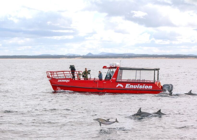 Nelson Bay: 1hr Dolphin Watch Express - The Value of the Dolphin Guarantee