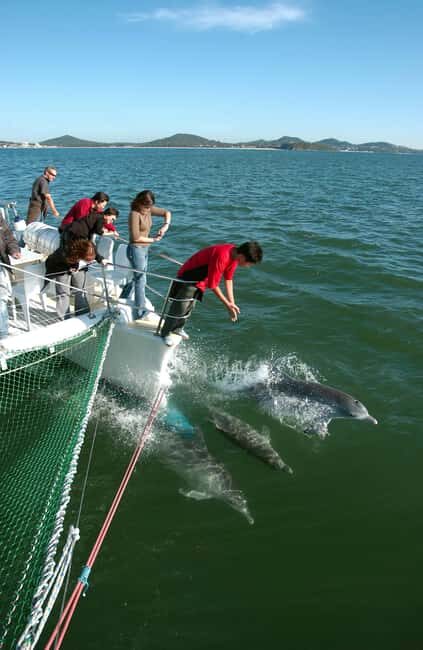 Nelson Bay: Dolphin Watch Cruise and Sail - The Sum Up