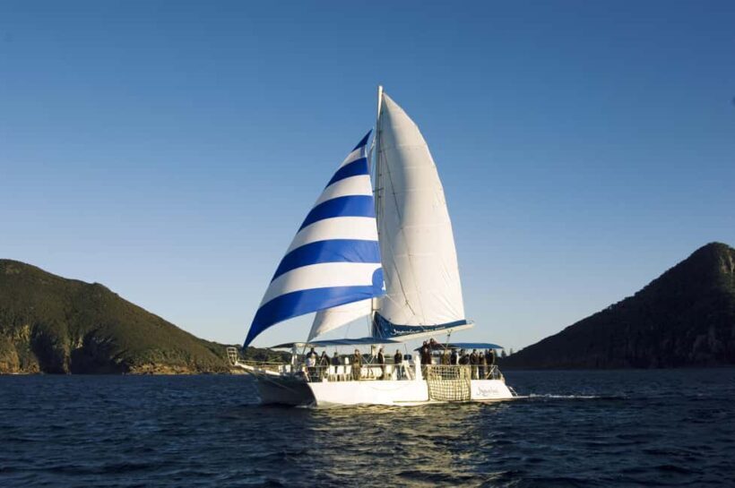Nelson Bay: Dolphin Watch Cruise and Sail - FAQ