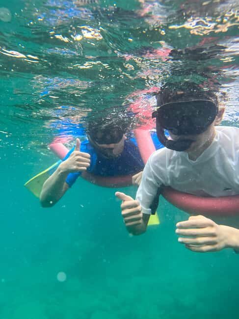 Nelson Bay: Marine Discovery Cruise with Snorkeling - A Closer Look at the Itinerary and Highlights