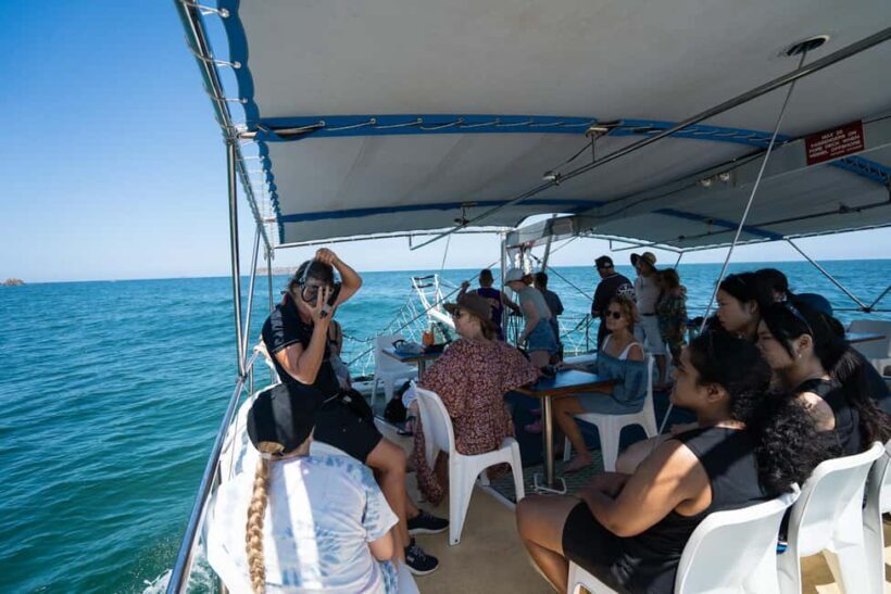Nelson Bay: Marine Discovery Cruise with Snorkeling - What Makes This Tour Stand Out?