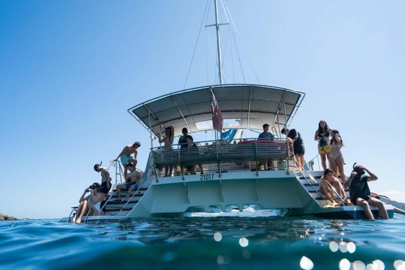 Nelson Bay: Marine Discovery Cruise with Snorkeling - The Value Proposition