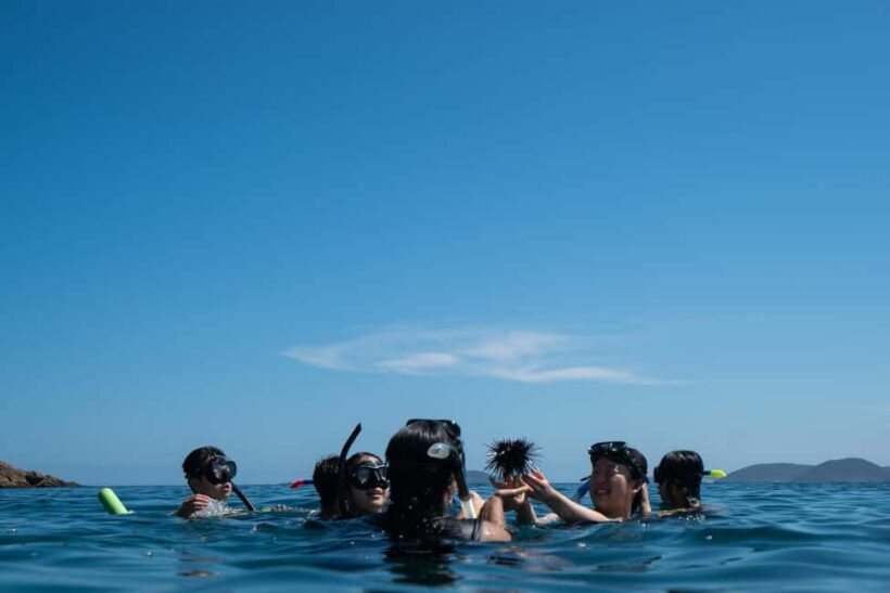 Nelson Bay: Marine Discovery Cruise with Snorkeling - Who Is This Tour Best For?