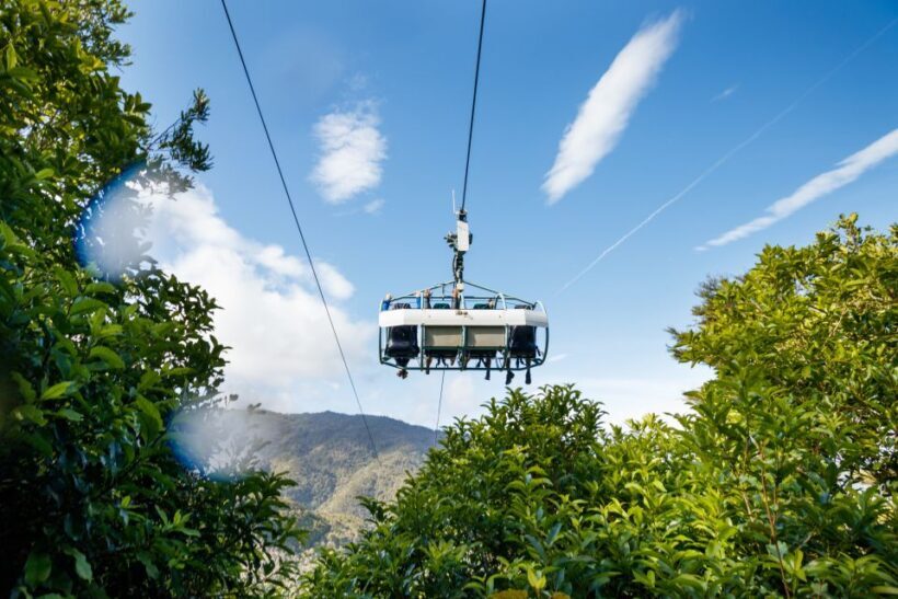 Nelson: Cable Bay Adventure Park Skywire Experience - What to Expect from the Skywire Experience