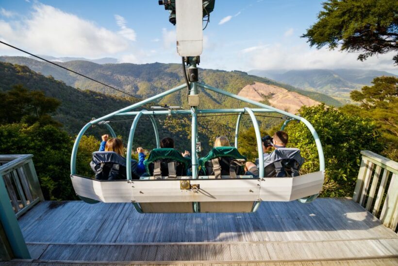 Nelson: Cable Bay Adventure Park Skywire Experience - Who Will Love the Skywire?