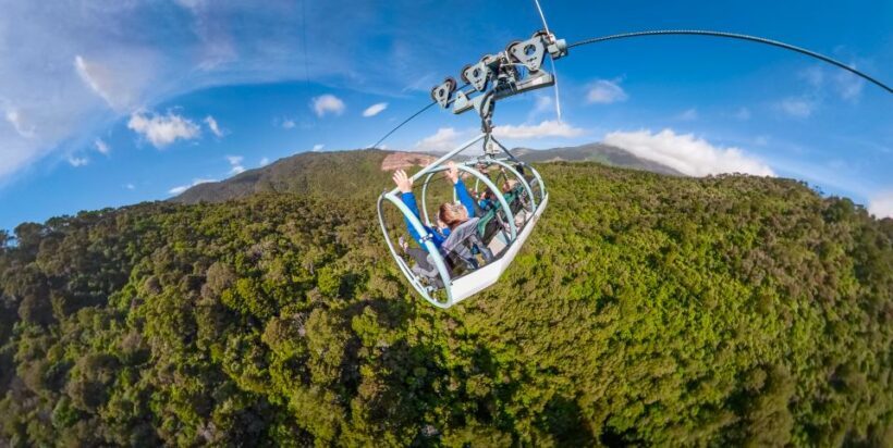 Nelson: Cable Bay Adventure Park Skywire Experience - A Thorough Breakdown of the Experience