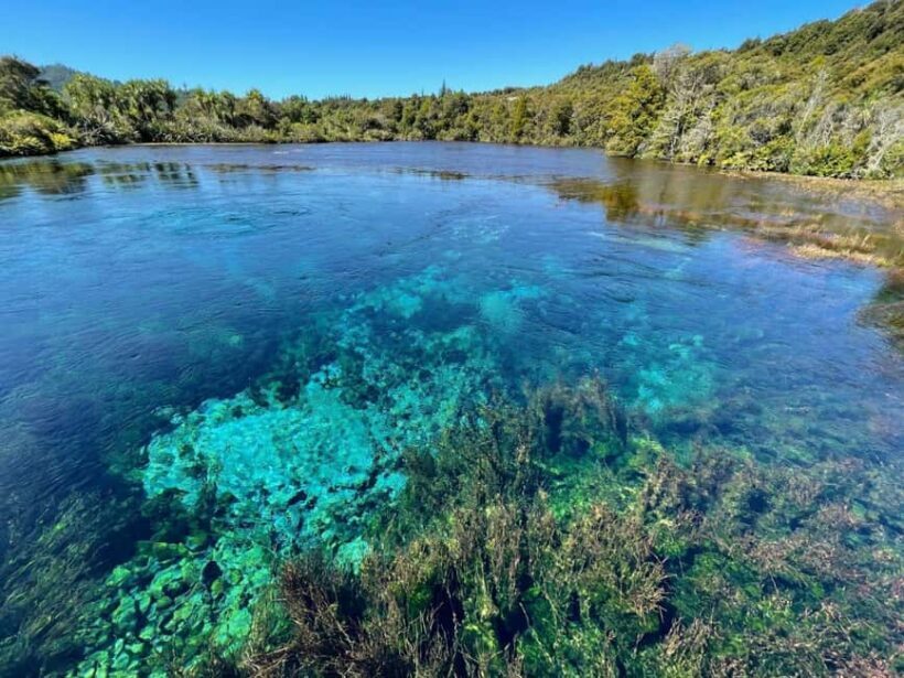 Nelson: Golden Bay in a Day Tour - Key Points