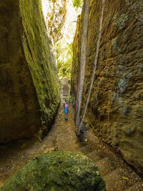 Nelson: Golden Bay in a Day Tour - A Full Breakdown of the Tour Experience