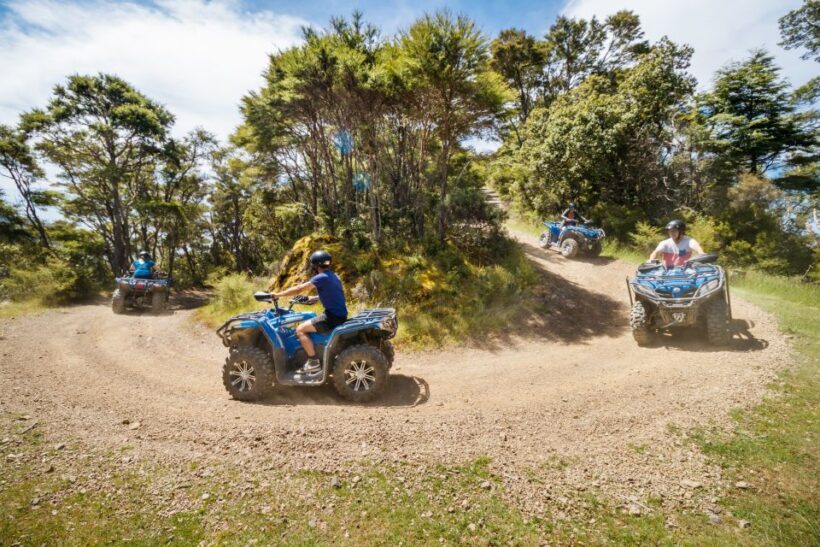 Nelson: Guided Quad Biking Tour Through Forest and Farmland - Key Points