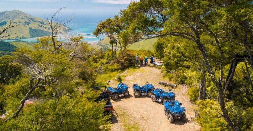 Nelson: Guided Quad Biking Tour Through Forest and Farmland - An Introduction to Quad Biking Near Nelson