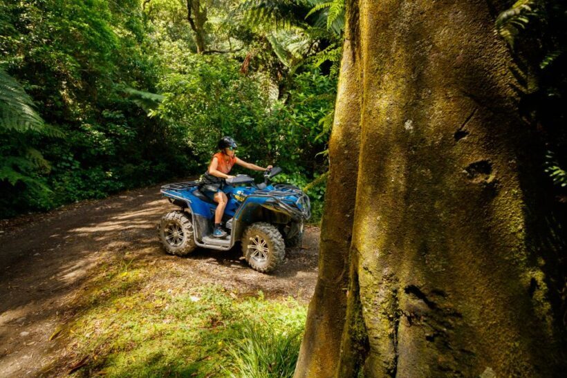 Nelson: Guided Quad Biking Tour Through Forest and Farmland - The Value Proposition