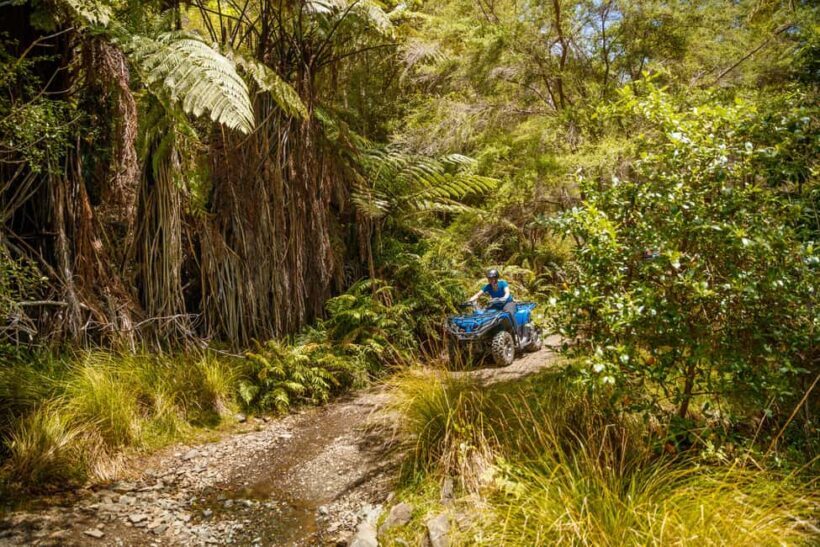 Nelson: Guided Quad Biking Tour Through Forest and Farmland - Who Should Consider This Tour?