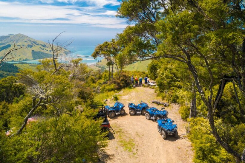 Nelson: Guided Quad Biking Tour Through Forest and Farmland - Practical Tips for Your Tour