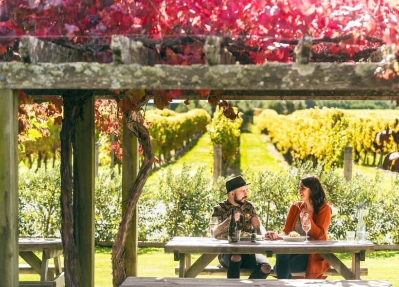 Nelson: Marlborough Wine Tour with Tastings and Lunch - An In-Depth Look at the Marlborough Wine Tour