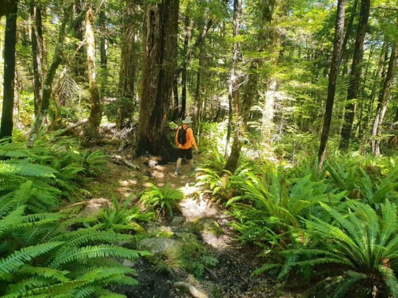 Nelson: Nelson Lakes National Park Day Trip with Lunch - Who Will Love This Tour?