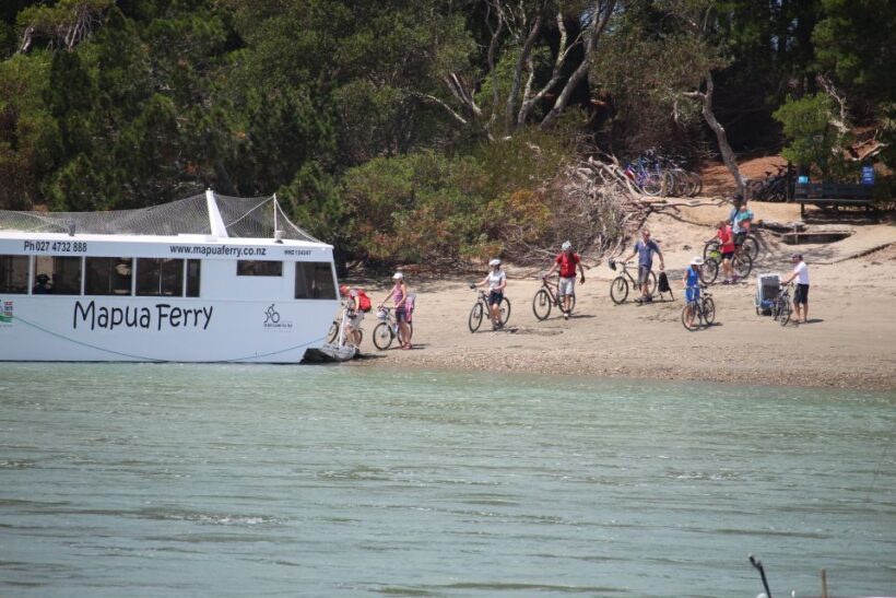 Nelson: Self-Guided Tunnel to Town Cycling Tour via Mapua - The Experience: Pros and Cons