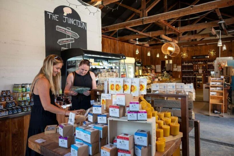 Nelson: Taste Tasman Food & Wine Tour with Lunch & Tastings - Why We Think This Tour Offers Good Value